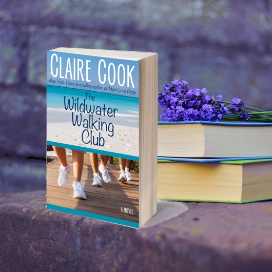 Creative Walking - Claire Cook