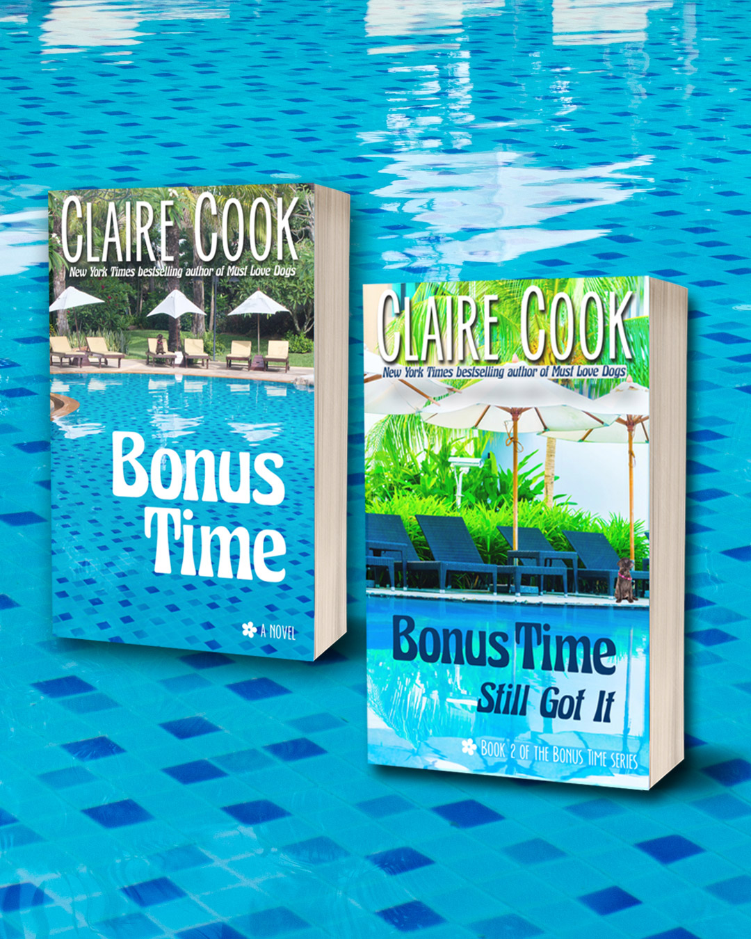 Bonus Time series - Claire Cook